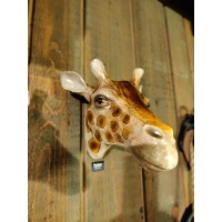 Kop van giraffe van het merk Parlane